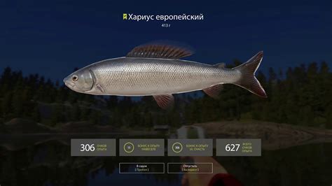 Вэки на Куори - длинная и продуктивная рыбалка на веки - черви - YouTube