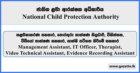 Management Assistant It Officer Evidence Recording Assistant