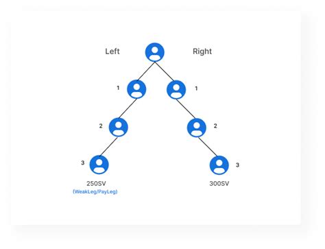 What Is A Binary MLM Plan How Does Binary Compensation Plan Works