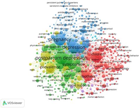 Network Visualization Of Keyword Co‐occurrence Which Appeared At Least