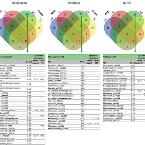 Venn Diagrams Showing Overlapping Asvs Ra 05 Of The Different Download Scientific