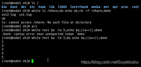 1 4 7 linux和高并发 shell编程 流程控制 shell 高并发 csdn博客