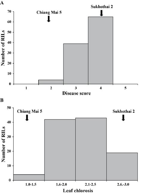 Frequency Distribution Of Leaf Rust Disease Score A And Leaf