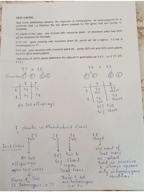 Heredity 2 Test Cross Sex Determination Pdf