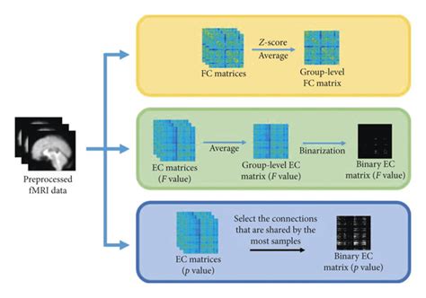 Methods Of Constructing Brain Function Network Compared In This Study