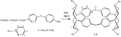 Scheme 1 Synthesis Of 28 Membered Cyclophanes 1 And 2 Download
