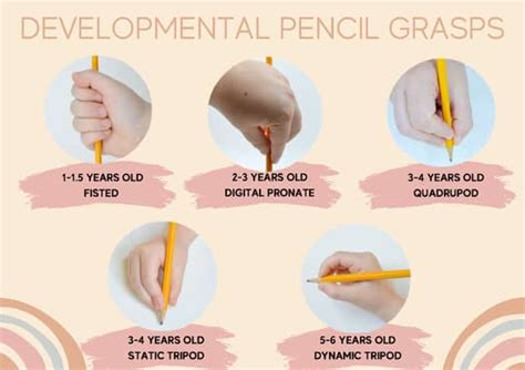 Developmental Pencil Grasp Poster By Nicole Tammaro Tpt