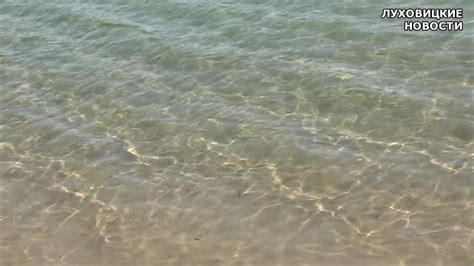 Купальный сезон стартовал в Луховицах жители и гости округа приглашаются на первое Голубое