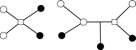 The Tree On The Left Is An Example Where The Minimum Vertex Cut The