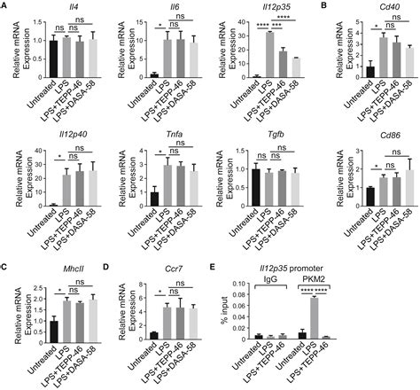 Pyruvate Kinase M2 Promotes The Activation Of Dendritic Cells By