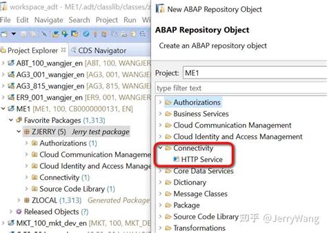 云端的 Abap Restful 服务开发以及通过 Abapgit 传输到其他系统的详细步骤 知乎