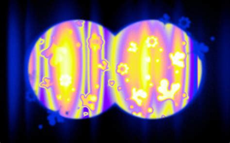 What Is A Spectrogram A 101 Guide To Reading Spectrograms Blog Splice