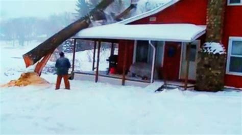 Video Caught On Camera Tree Cutting Fails And Mishaps ABC News