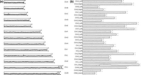 Illumina Read Coverage Over The Assembled Genome A The 50‐bp