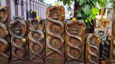 நாகசதுர்த்தி கருட பஞ்சமின்னா என்ன மனதில் நடுக்கமா வாகன விபத்தா