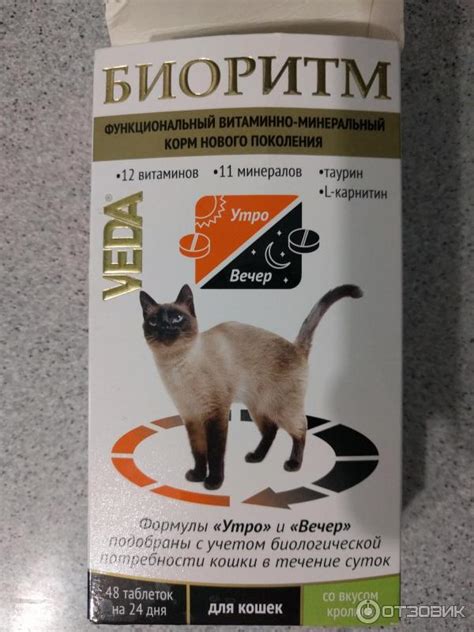 Витамины для кошек: какие лучше выбрать, какие нужны