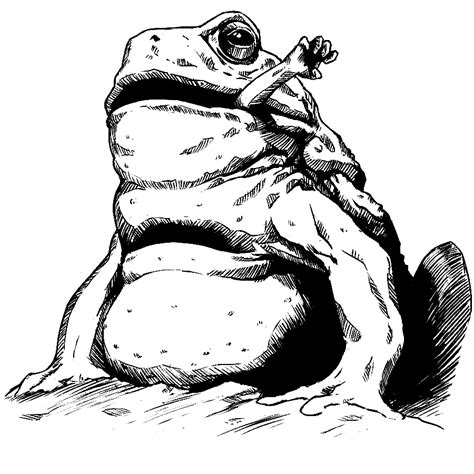 Giant Toad Eating A Limb Dscryb Fantasy Ttrpg Artwork