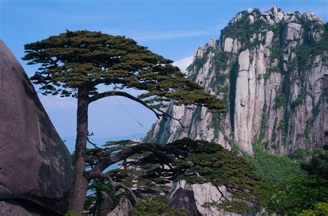 무료 이미지 나무 록 황야 꼬리 산맥 형성 낭떠러지 지역 국립 공원 자료 산등성이 지질학 황산 환영