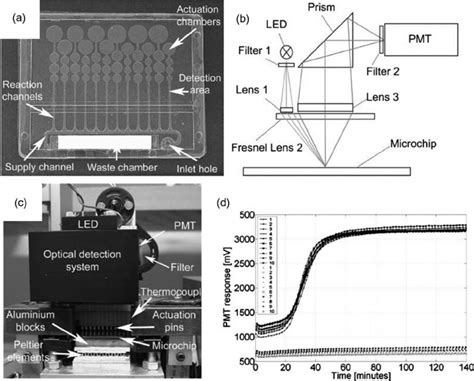 Multiplexed Real Time Hpv Detection Using Polymer Microchips A An Download Scientific