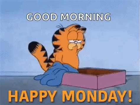 Good Morning Monday S Good Morning S