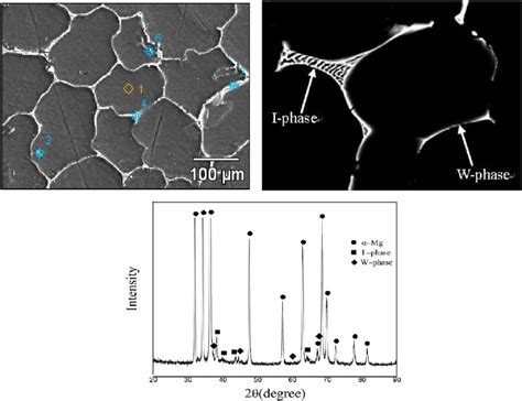 Sem And Xrd Of The As Cast Mg 5 5zn 1y 0 5zr Alloy Download Scientific Diagram