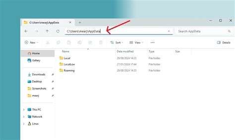 在 windows 10 和 11 中找到 appdata 目录