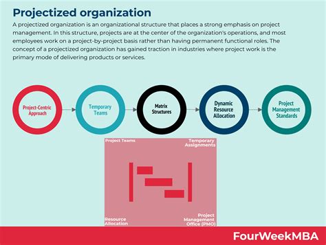 Project Management Organizational Structures Organizational Project