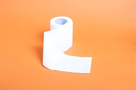 Is Toilet Paper Biodegradable Everything You Need To Know The Good