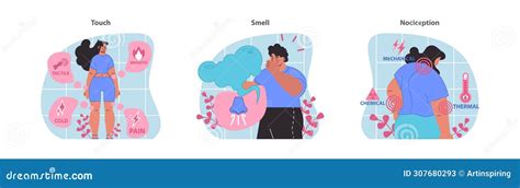 Sensory Experiences Set Tactile Sensations Olfactory Perceptions Stock Vector Illustration