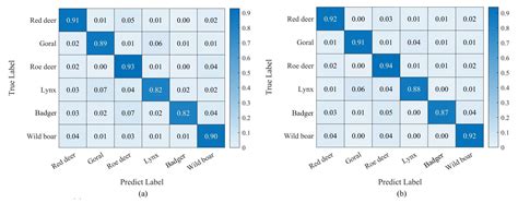 A Lightweight Automatic Wildlife Recognition Model Design Method Mitigating Shortcut Learning