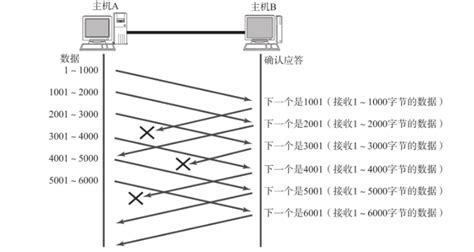 计网传输层协议 udp和tcp udp计网 csdn博客