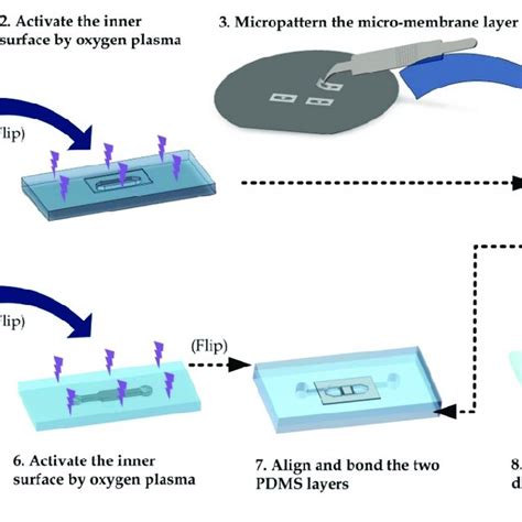 Figure A1 Fabrication Process Of The Microfluidic Viscometer Figure Download Scientific