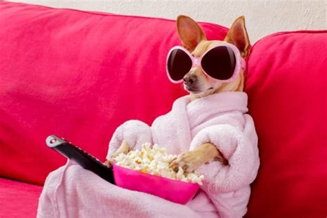 60 Funny Pictures And Photos To Make You Laugh Parade