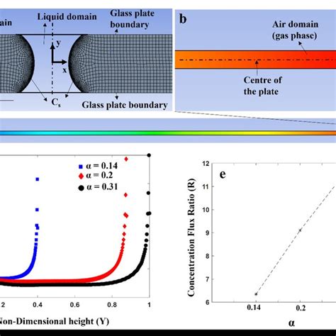 A Steady State Solution For The Concentration Field Of Water Vapor