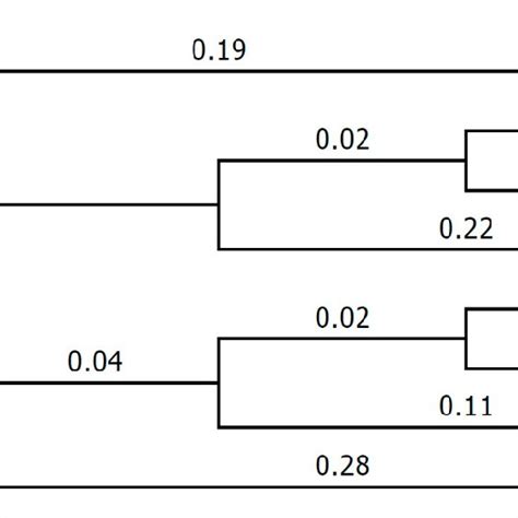 dendrogram showing genetic clustering based on unweighted pair group