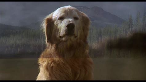 Great Fish Sassy Fully Stomach Sure Feels Good Yeah I Guess I