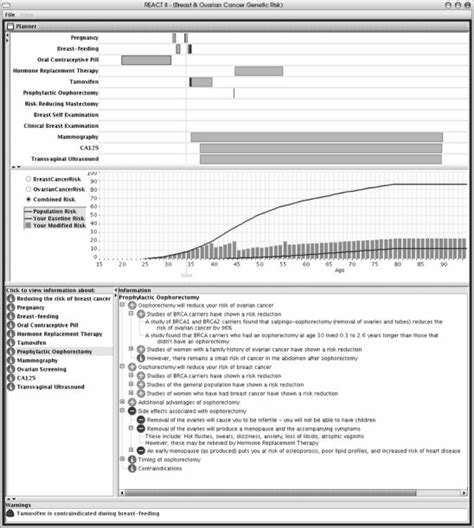 The React User Interface A Plan Is Being Developed For Risk Mitigation