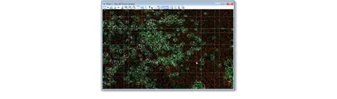 Trees With Heights And With Crown Radius Download Scientific Diagram