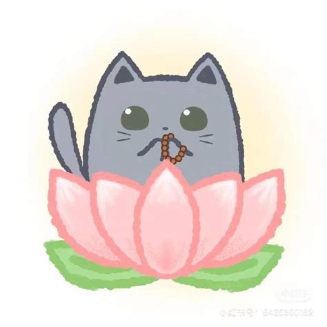 群晖 Docker 安装xray 小橘子