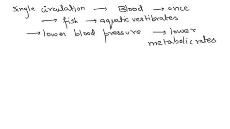 Solved Differentiate Between Single And Double Circulation Found In Vertebrates