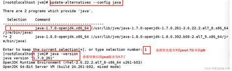 软件版本管理 软件的版本管理 csdn博客