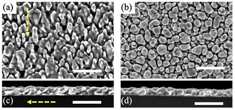 Sem Characterization Of The Fabricated Nanocolumnar Templates Top View