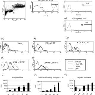 Transfectants And Acquisition The M Cell Lines Were Labeled With Download Scientific Diagram