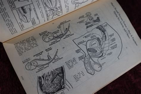 Lot 145 Picture Stories Of The Sex Life Of Man And Woman Vintage Pam Memory Hole Vintage