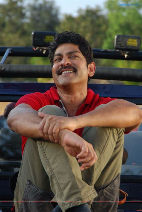 Aaru Movie Hd Photos Images Pics Stills And Picture 220086
