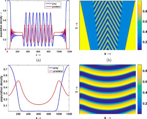 Periodic Travelling Wave Followed By Periodic With Respect To Space And Download Scientific
