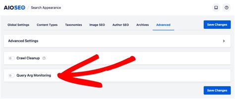 Using The Query Arg Monitoring In All In One Seo Aioseo