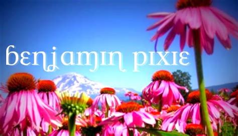 Benjamin Pixie People And Plants