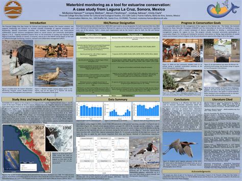 Pdf Waterbird Monitoring As A Tool For Estuarine Conservation A Case