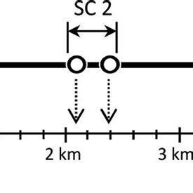 A Visual Illustration Of The Spatial Clustering Source Ghadi Et Al Download Scientific